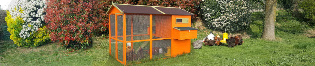 Poulaillers bois en kit avec enclos grillagés intégrés